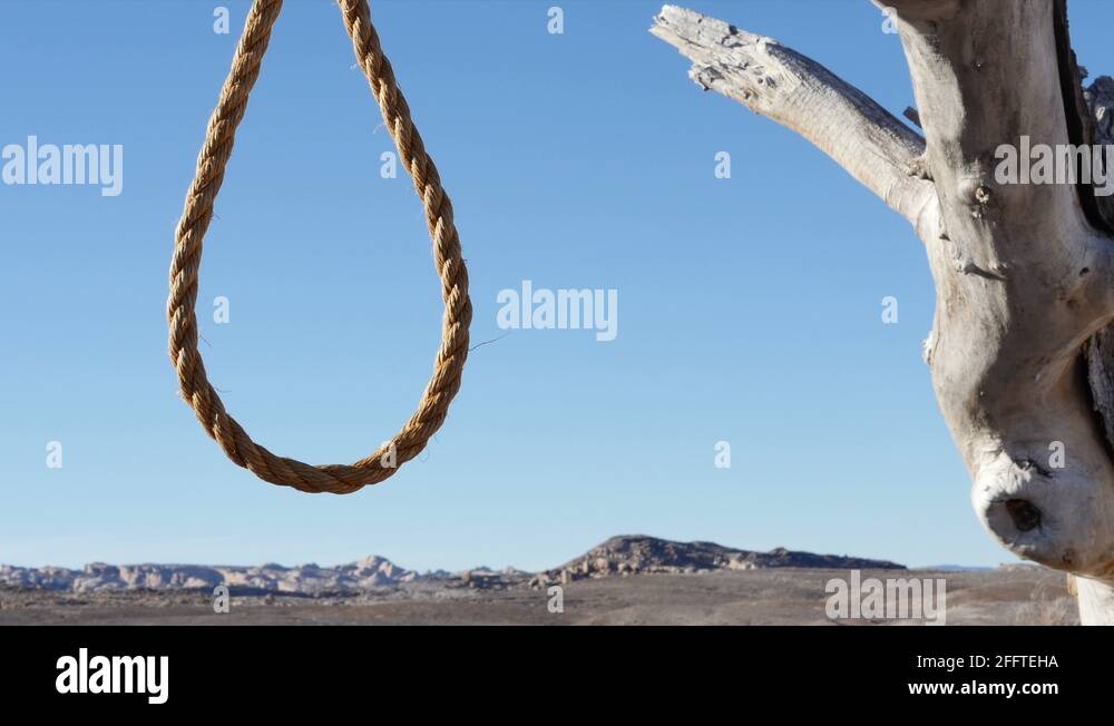 Noose on Hanging Tree in Wild West Badlands Close Up Stock Video ...