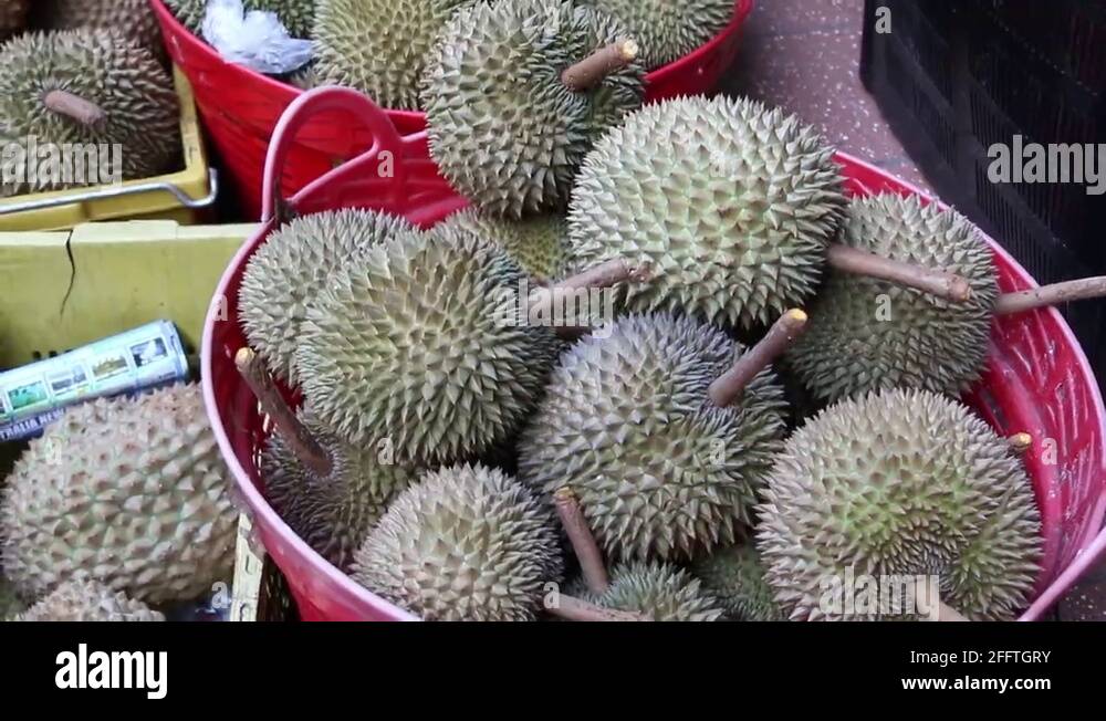 Durian Stink Fruit in Singapore Stock Video Footage - Alamy
