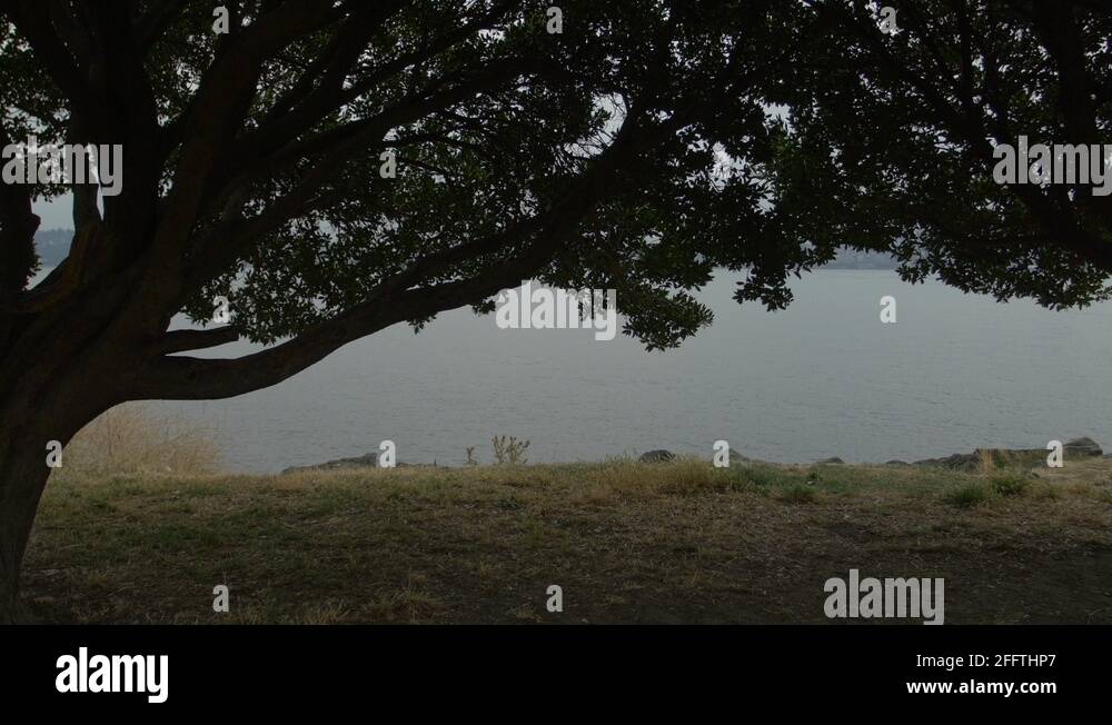 Viewpoint park Stock Videos & Footage - HD and 4K Video Clips - Alamy