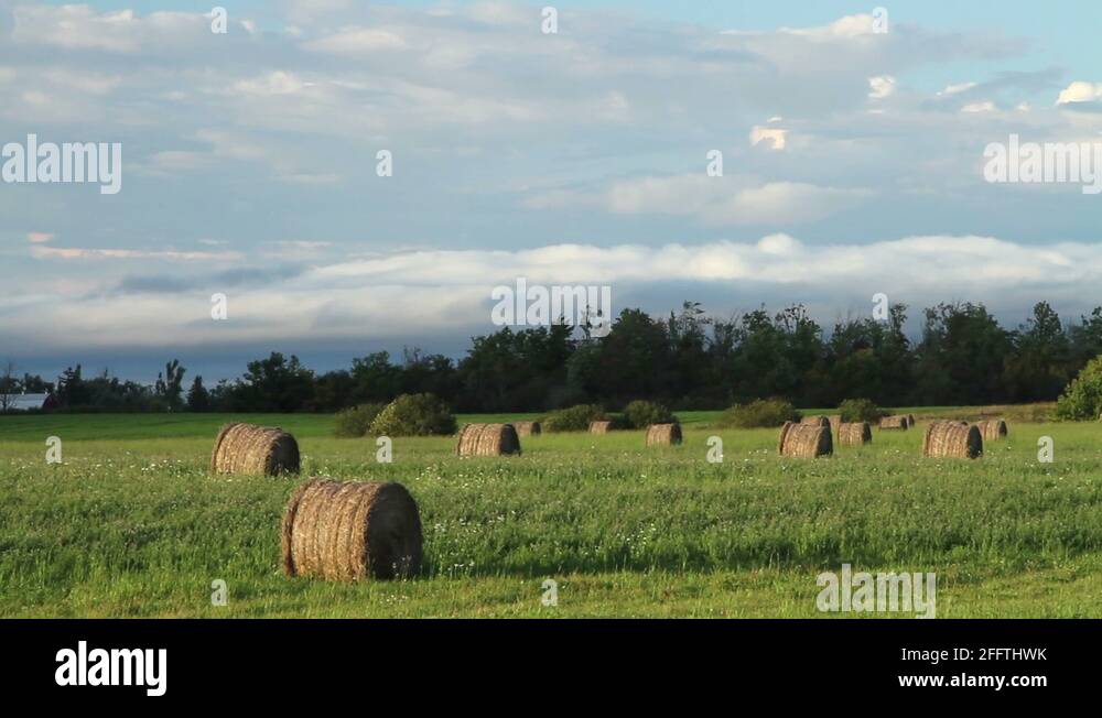 Open hay field Stock Videos & Footage - HD and 4K Video Clips - Alamy