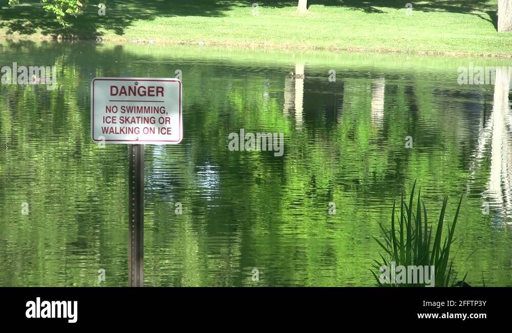 Pond danger Stock Videos & Footage - HD and 4K Video Clips - Alamy