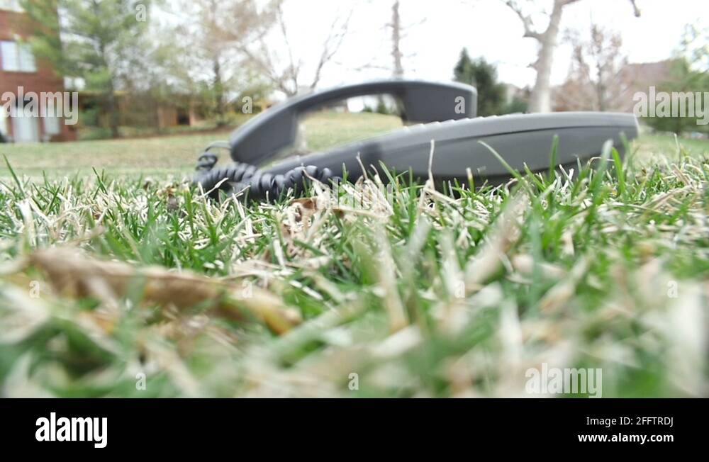 Fall to ground Stock Videos & Footage - HD and 4K Video Clips - Alamy