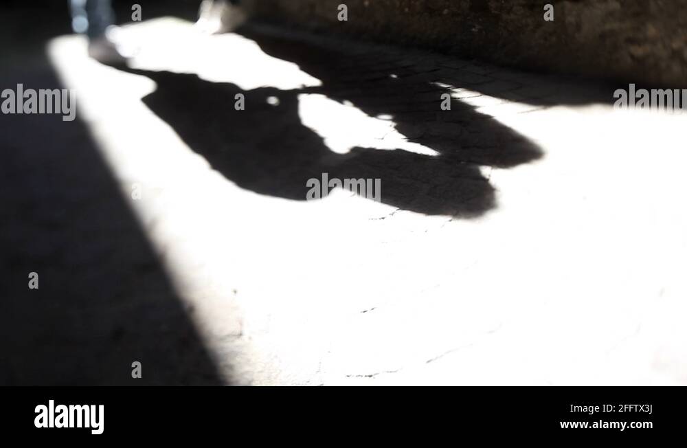 Shadows two people kissing Stock Videos & Footage - HD and 4K Video ...