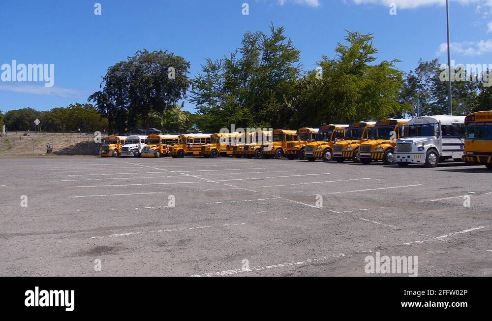 Parked school buses in parking lot Stock Video Footage - Alamy