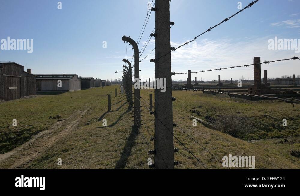 Barbed wire fence near the barracks of Auschwitz Stock Video Footage ...