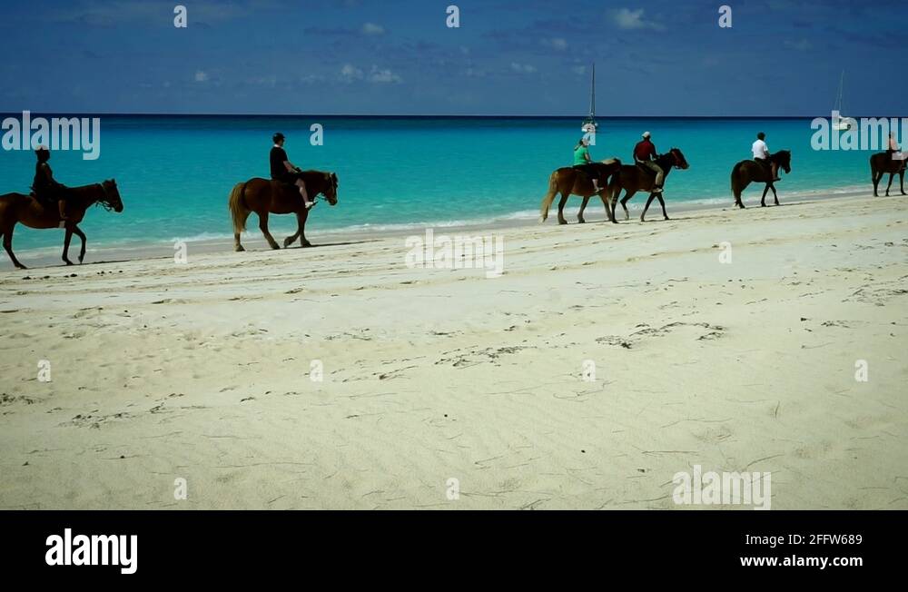 Caribbean people beach Stock Videos & Footage - HD and 4K Video Clips ...