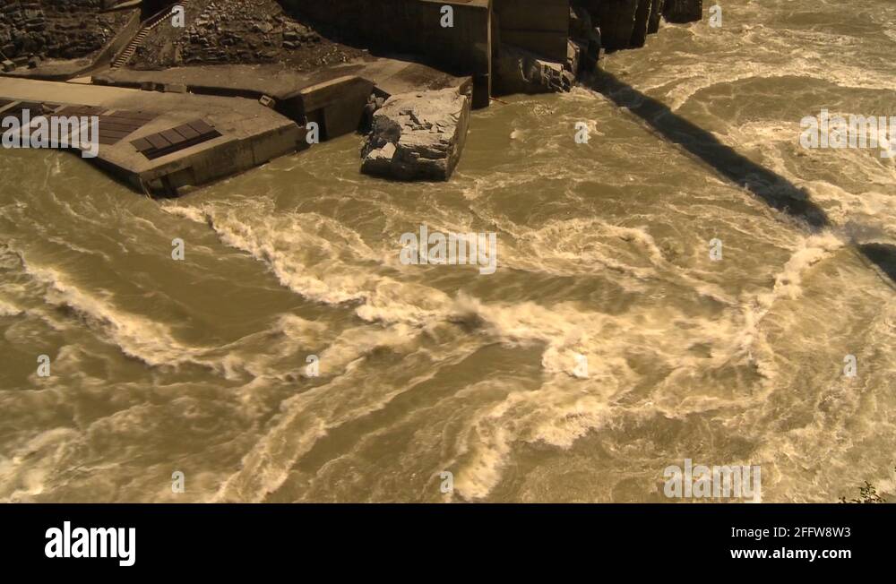 Fish gate Stock Videos & Footage - HD and 4K Video Clips - Alamy