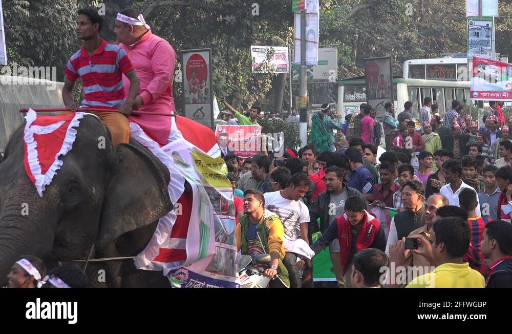 Elephants rally Stock Videos & Footage - HD and 4K Video Clips - Alamy