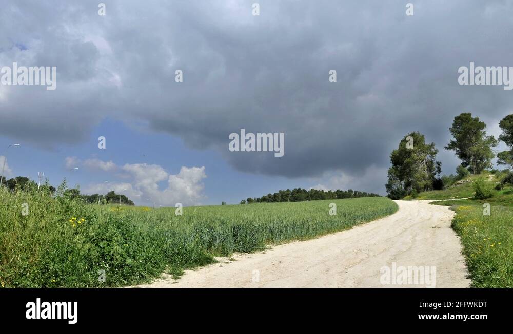 Trail through wheat Stock Videos & Footage - HD and 4K Video Clips - Alamy