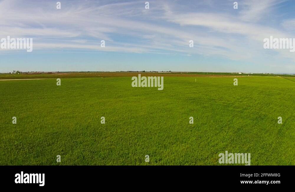 Winter forage Stock Videos & Footage - HD and 4K Video Clips - Alamy