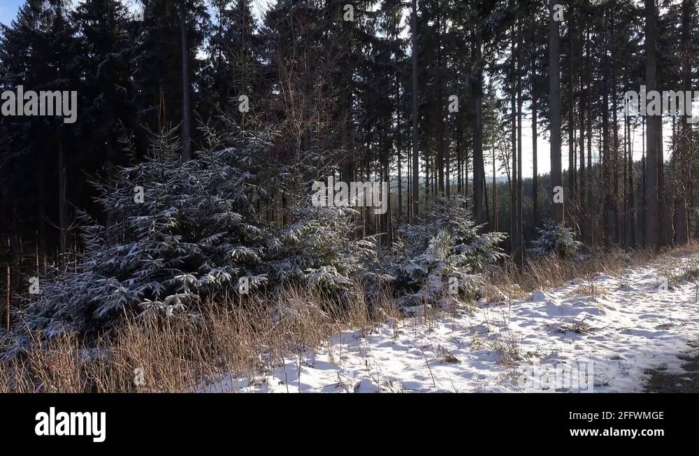 Range fir Stock Videos & Footage - HD and 4K Video Clips - Alamy