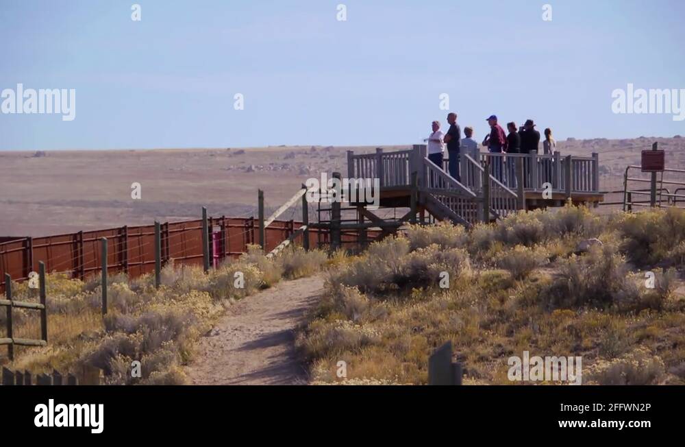 Roundup Stock Videos & Footage - HD and 4K Video Clips - Alamy