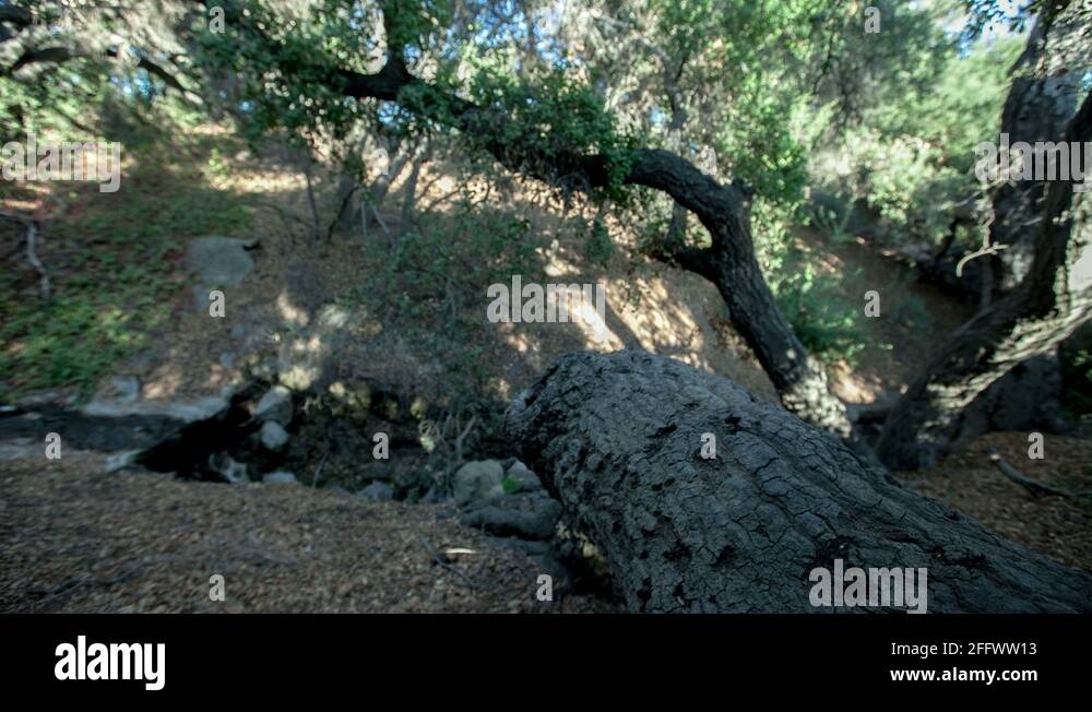 Gully control Stock Videos & Footage - HD and 4K Video Clips - Alamy