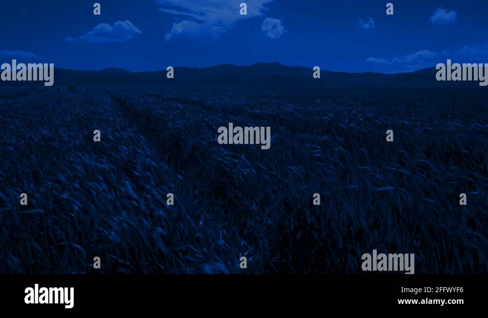 Moonlight road Stock Videos & Footage - HD and 4K Video Clips - Alamy