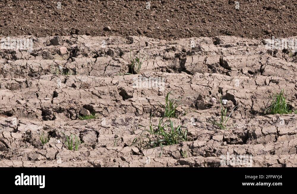 Harrow tool agriculture farming Stock Videos & Footage - HD and 4K ...