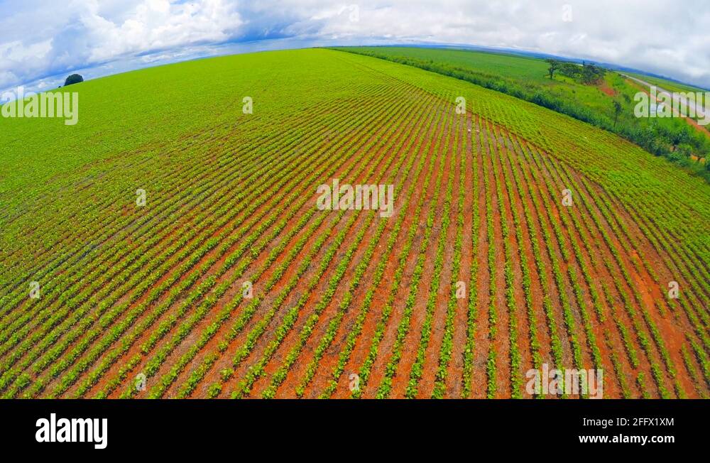 Soybean harvesting brazil Stock Videos & Footage - HD and 4K Video ...