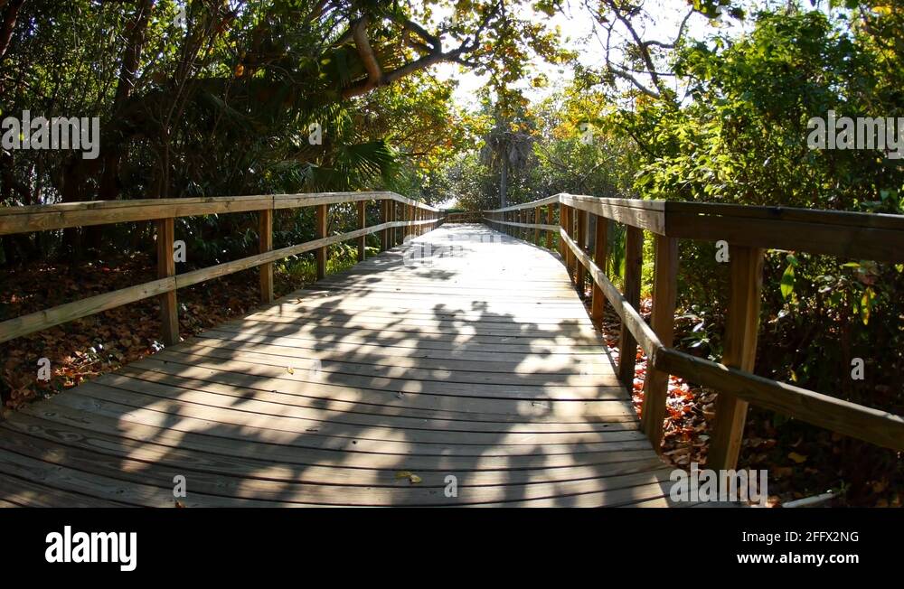 Nature walk boardwalk Stock Videos & Footage - HD and 4K Video Clips ...