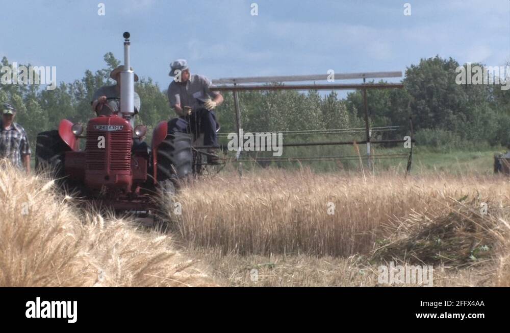 Grain carting Stock Videos & Footage - HD and 4K Video Clips - Alamy
