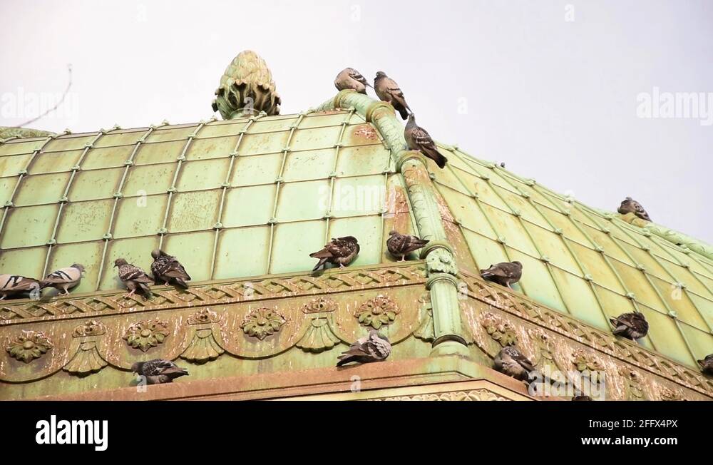 German roof Stock Videos & Footage - HD and 4K Video Clips - Alamy