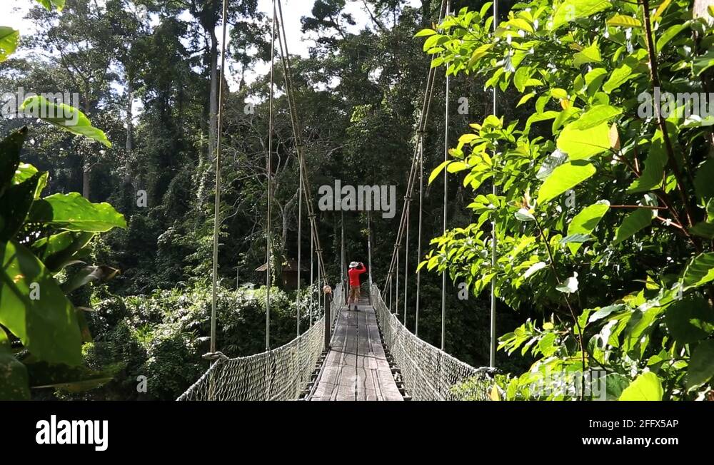 Malaysia sabah bridge Stock Videos & Footage - HD and 4K Video Clips ...