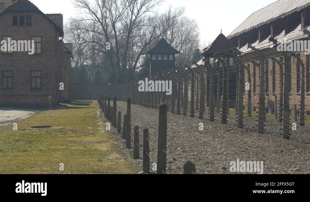 Barbed wire fences and guard towers at Auschwitz Stock Video Footage ...