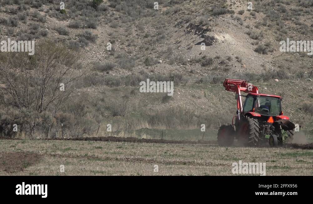 April farm Stock Videos & Footage - HD and 4K Video Clips - Alamy