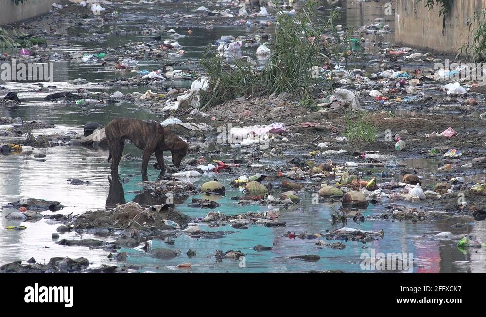 Pollution slums Stock Videos & Footage - HD and 4K Video Clips - Alamy