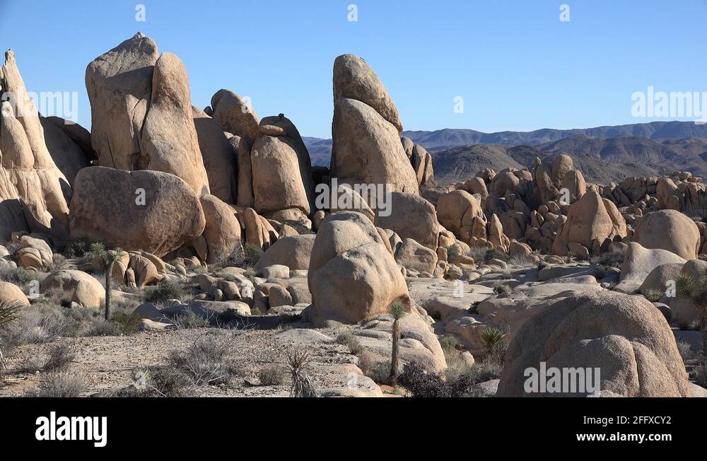 Granite tree national park Stock Videos & Footage - HD and 4K Video ...