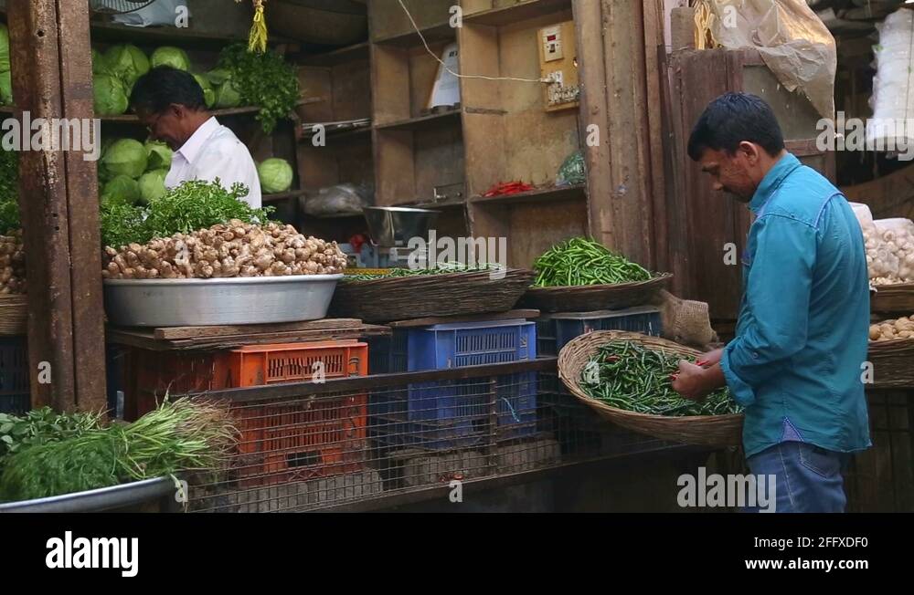 Indian man sorting green beans at the street stand in Mumbai Stock ...