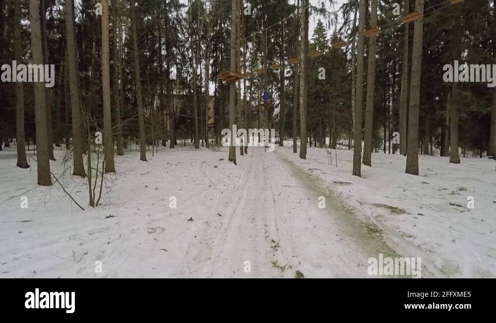 Rope bridge trees Stock Videos & Footage - HD and 4K Video Clips - Alamy