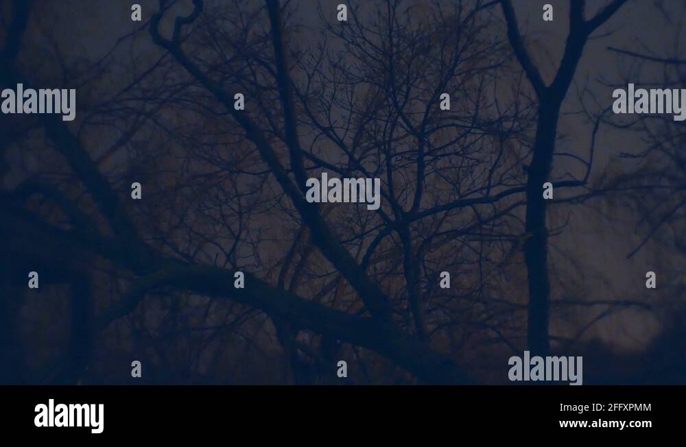 Storm cell lightning Stock Videos & Footage - HD and 4K Video Clips - Alamy