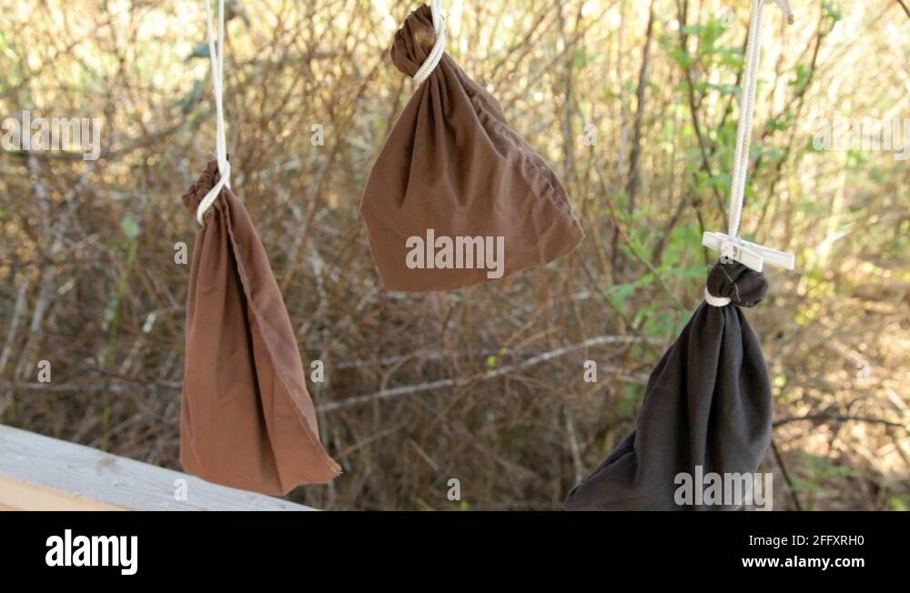 Bags and birds Stock Videos & Footage - HD and 4K Video Clips - Alamy