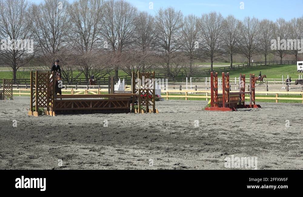 Competion horse Stock Videos & Footage - HD and 4K Video Clips - Alamy