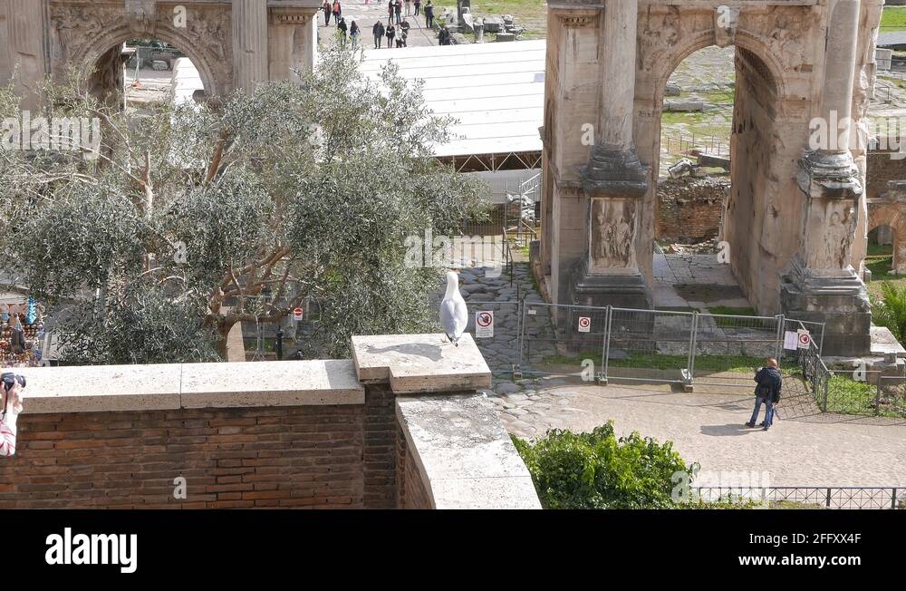 Kostantiniyye or istanbul imperial capital roman empire Stock Videos ...