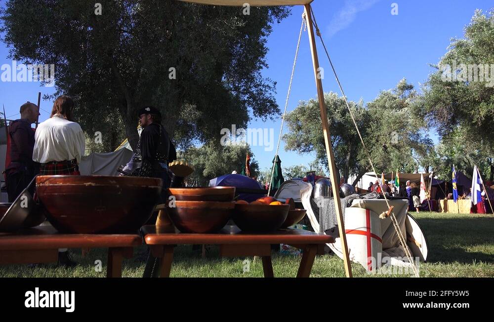 Camp shield Stock Videos & Footage - HD and 4K Video Clips - Alamy