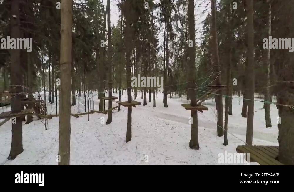 Forest forest ropes course Stock Videos & Footage - HD and 4K Video ...