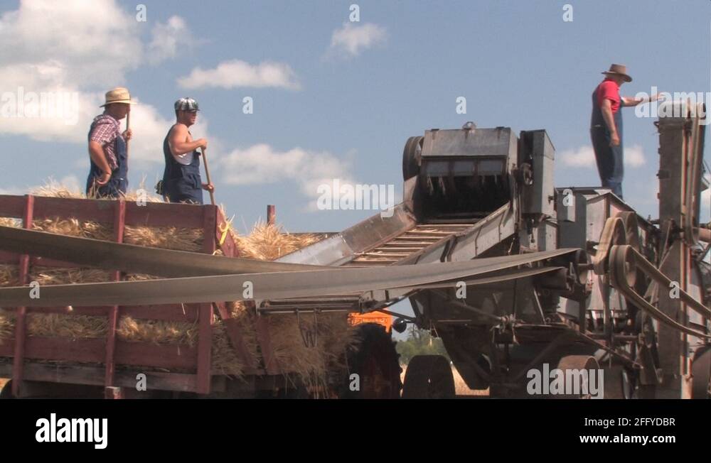 Threshing crew Stock Videos & Footage - HD and 4K Video Clips - Alamy
