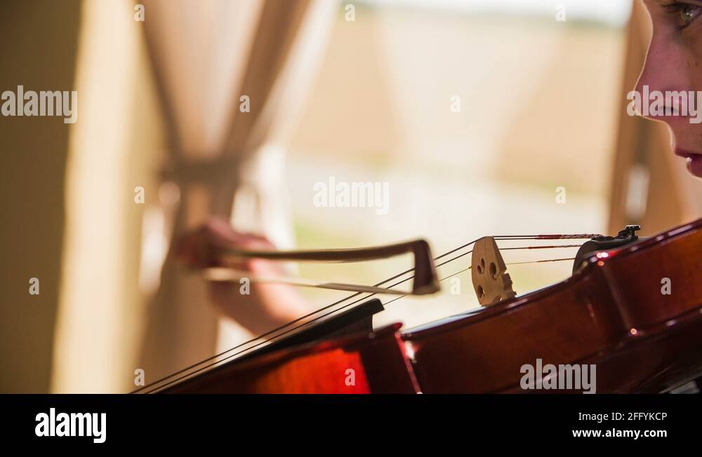 Violin violin bow on sheet Stock Videos & Footage - HD and 4K Video ...