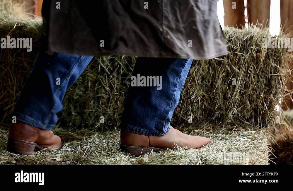 Man ray violin Stock Videos & Footage - HD and 4K Video Clips - Alamy