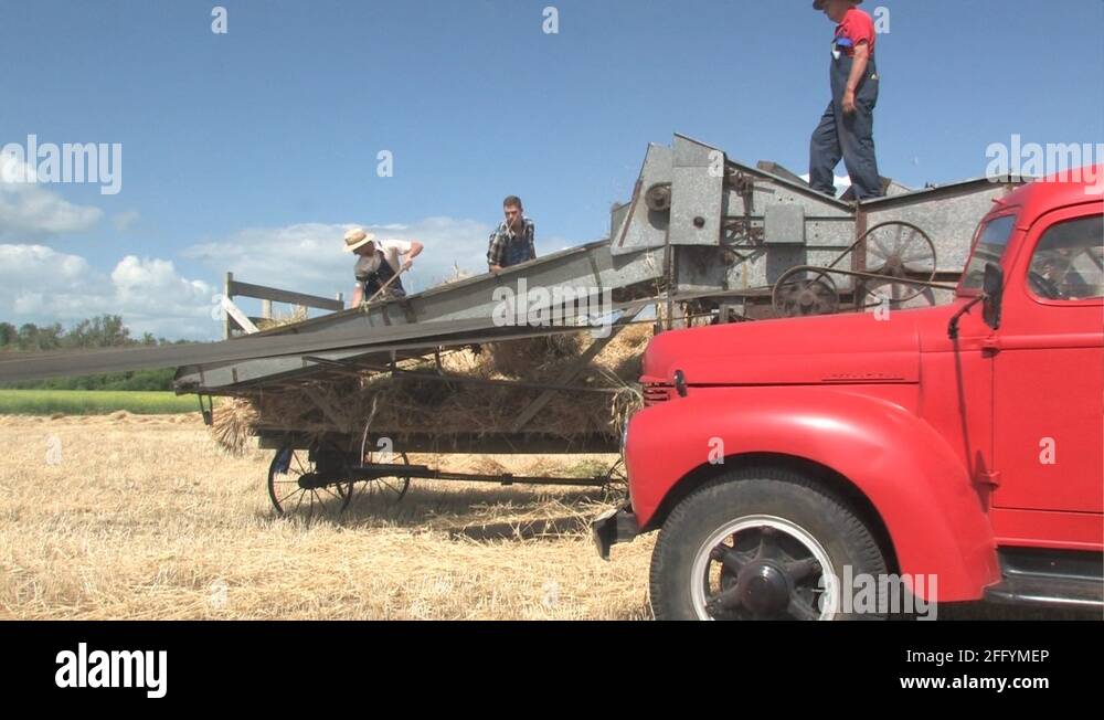 Threshing harvest grain wheat straw stuke stukes sheave stuking pioneer ...