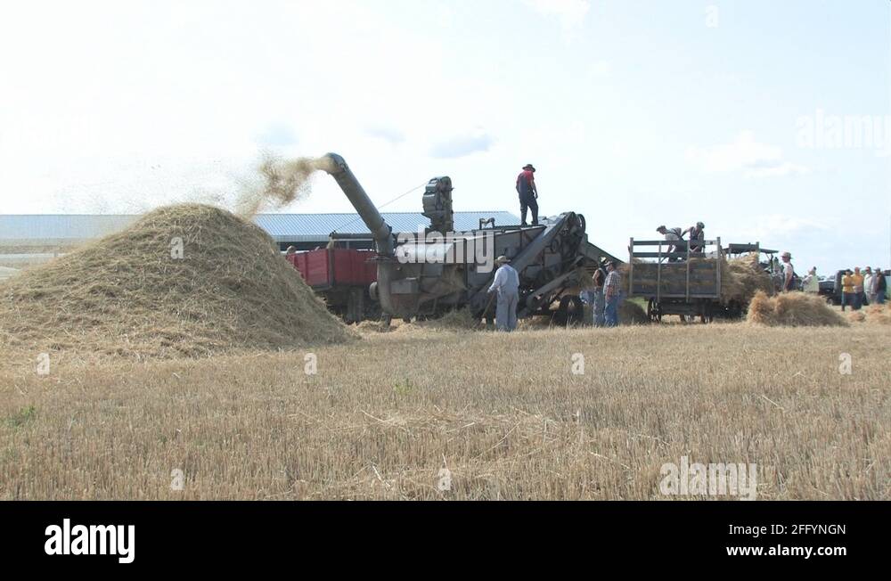 Chaff wagon Stock Videos & Footage - HD and 4K Video Clips - Alamy