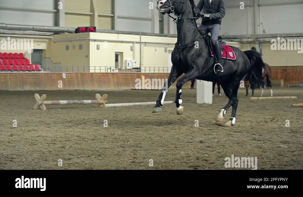 Fence jump hurdle Stock Videos & Footage - HD and 4K Video Clips - Alamy