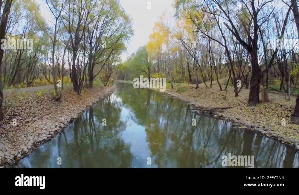 Wavy water surface with dead leaves and reflection of trees Stock Video ...