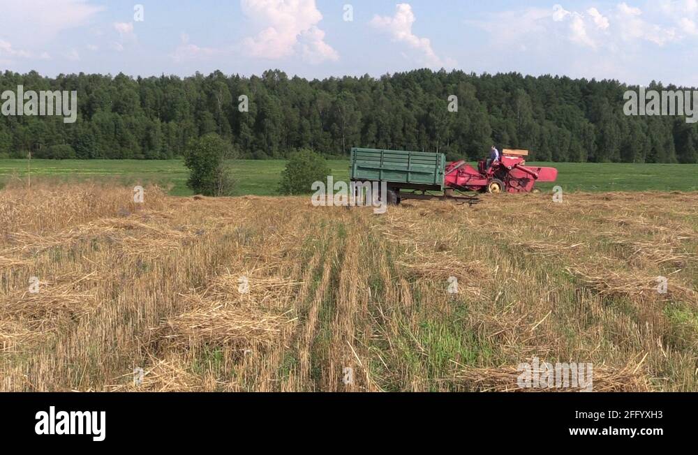 Work in the village Stock Videos & Footage - HD and 4K Video Clips - Alamy