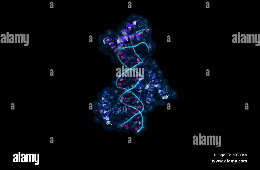 Transcription dna Stock Videos & Footage - HD and 4K Video Clips - Alamy