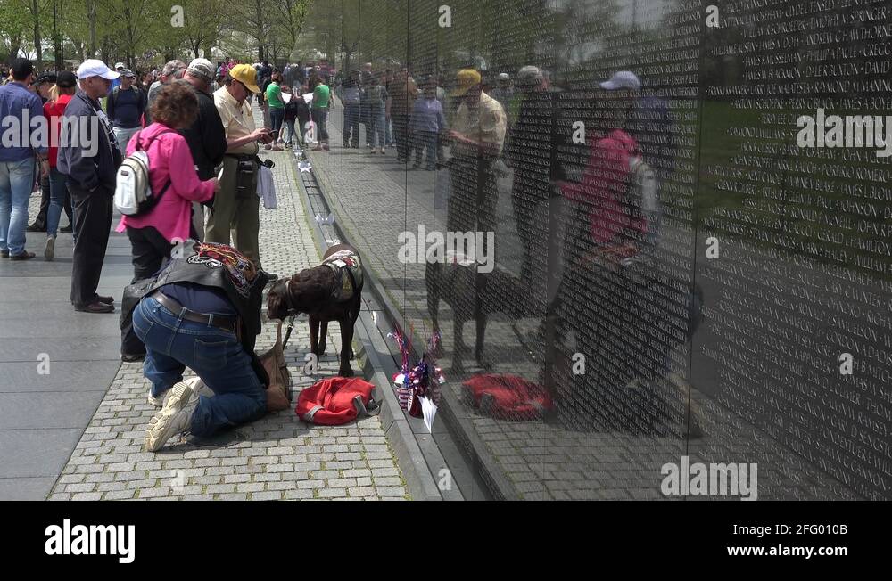 Vietnam war wall veteran Stock Videos & Footage - HD and 4K Video Clips ...