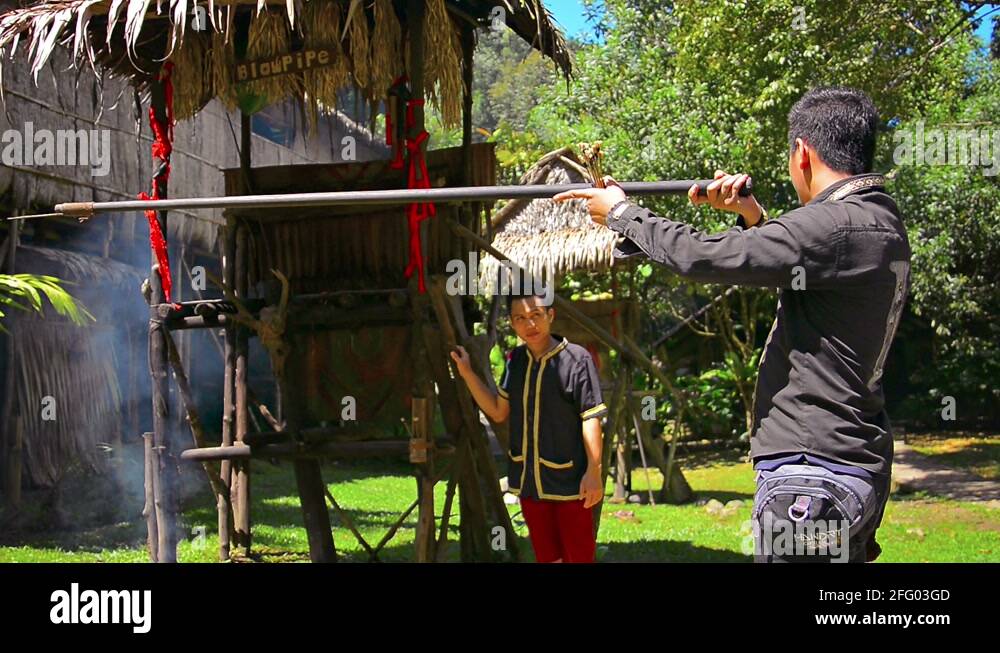 Blowgun Stock Videos & Footage - HD and 4K Video Clips - Alamy