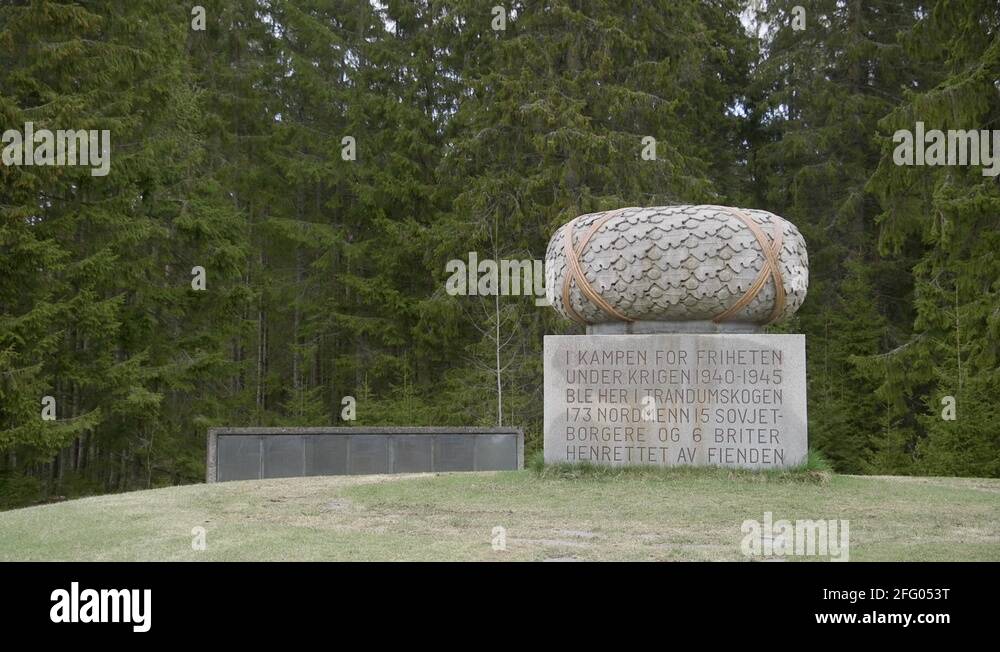 Ww2 cut out Stock Videos & Footage - HD and 4K Video Clips - Alamy