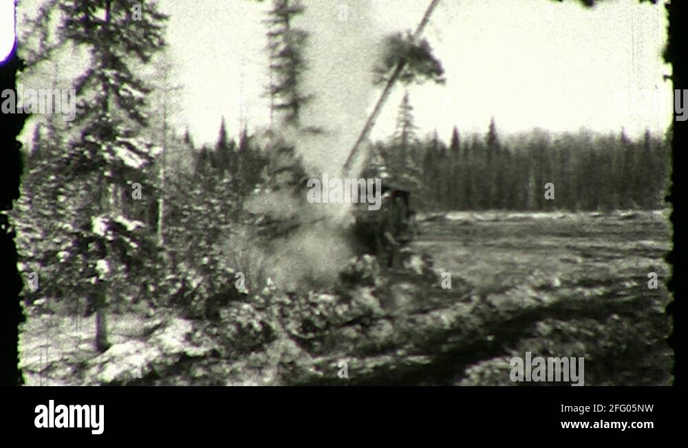 Bulldozer deforestation forest Stock Videos & Footage - HD and 4K Video ...