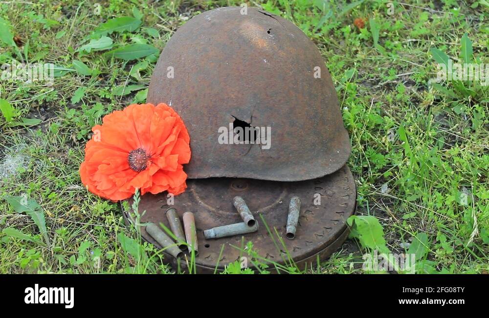 Poppy symbols Stock Videos & Footage - HD and 4K Video Clips - Alamy